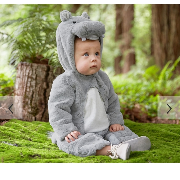 Pottery Barn Kids | Costumes | Pottery Barn Kids Hippo Costume | Poshmark